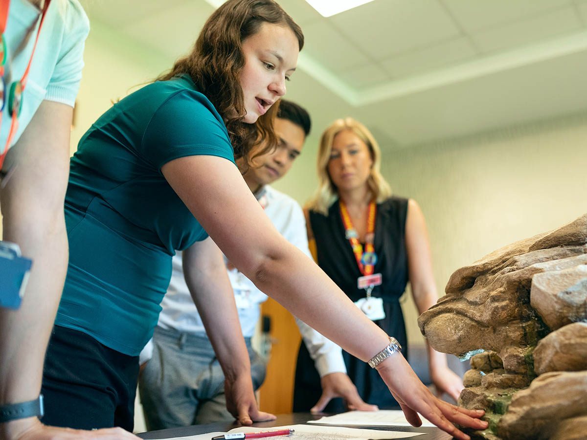 Scale Up a Promising Innovation - CrossKnowledge Skill Paths